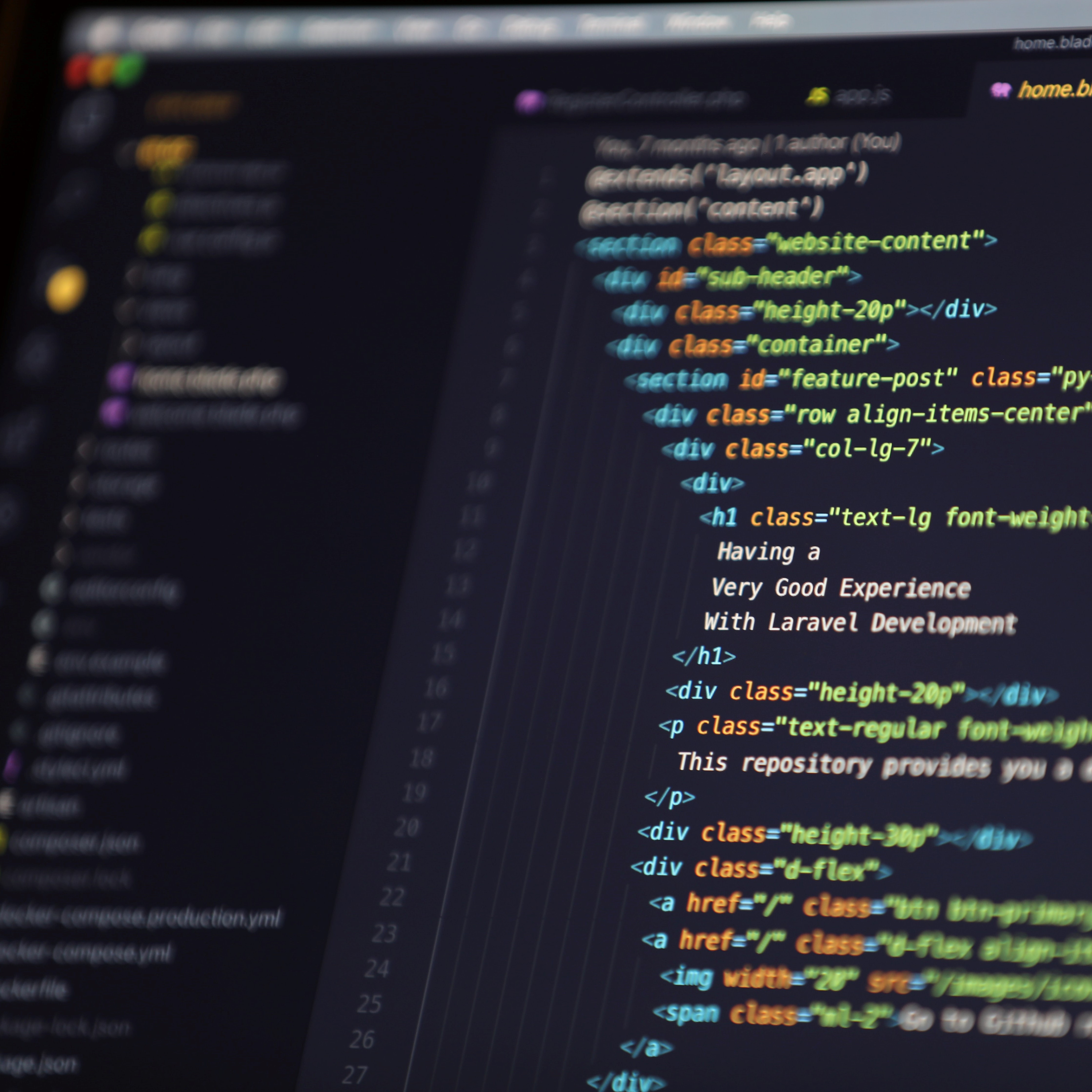 Rebecca Shalom Portfolio